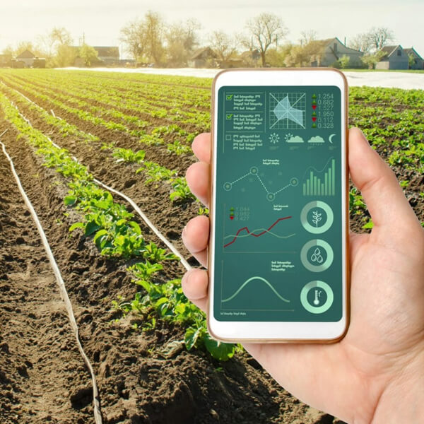 Crop 19 | Nivida Software